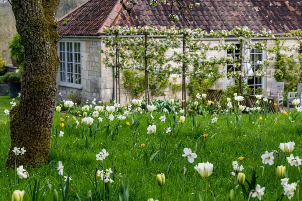 The latest stories from Caisson - Caisson Gardens