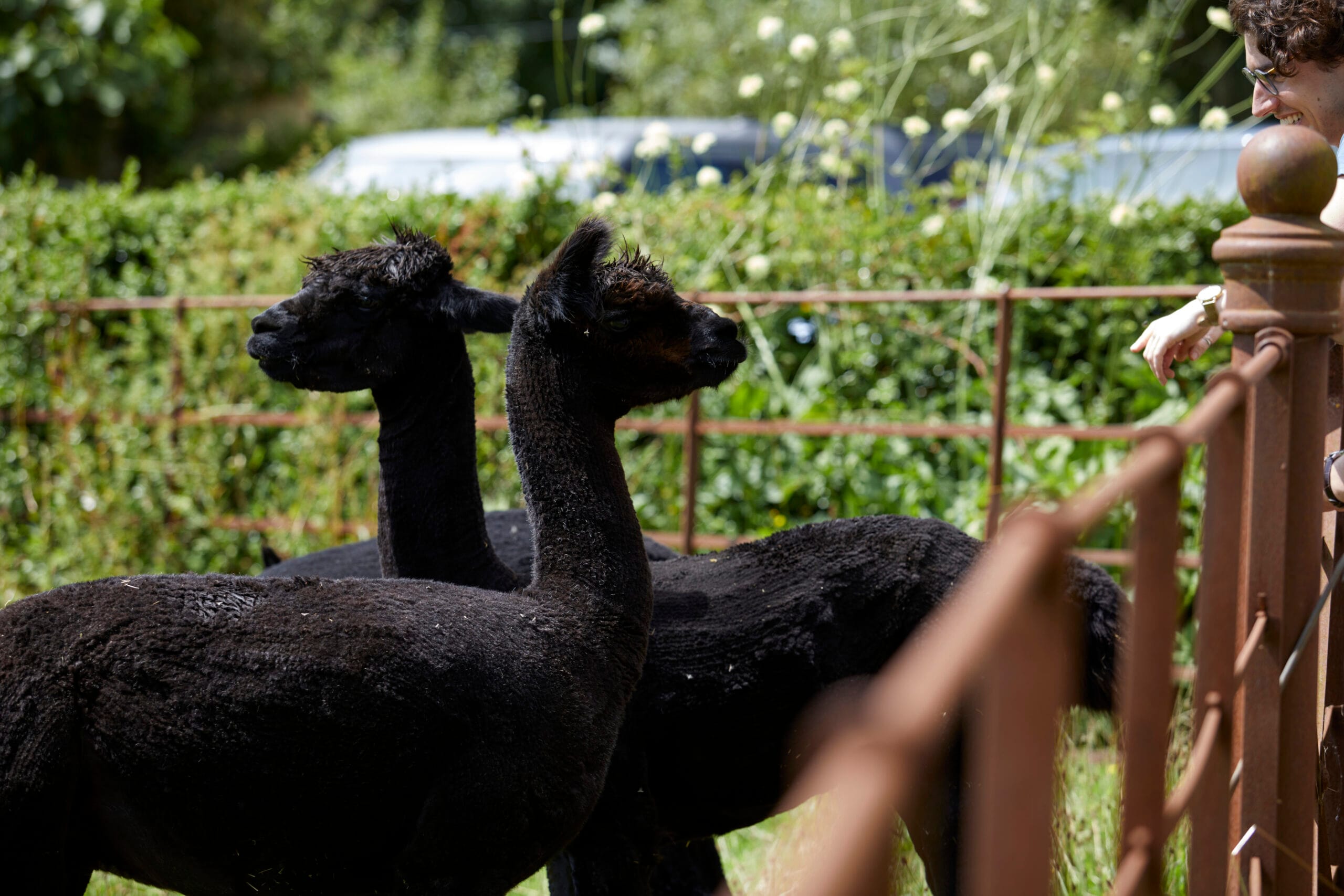 Welcome to Caisson - Caisson Gardens