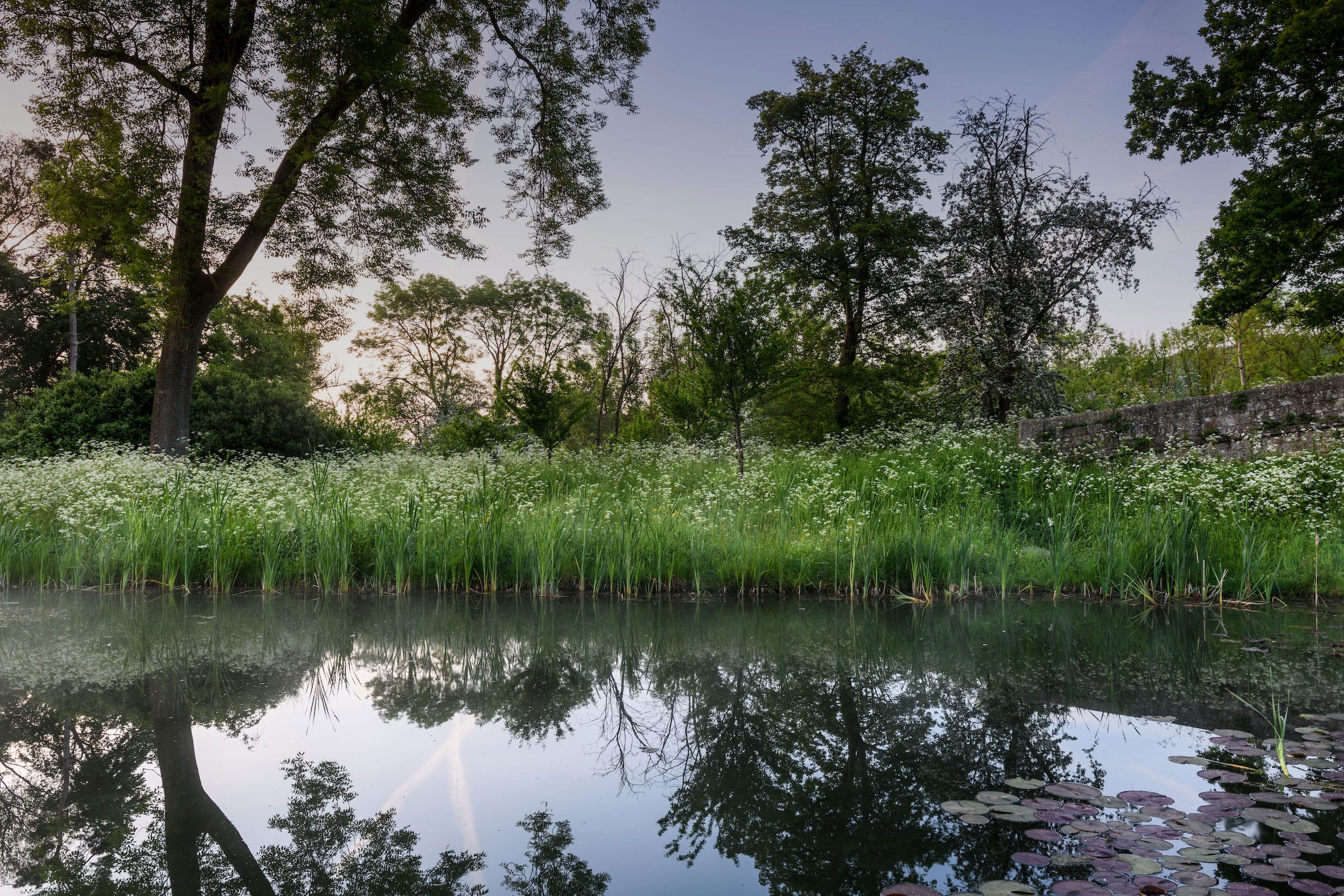 Our story – A journey of discovery - Caisson Gardens